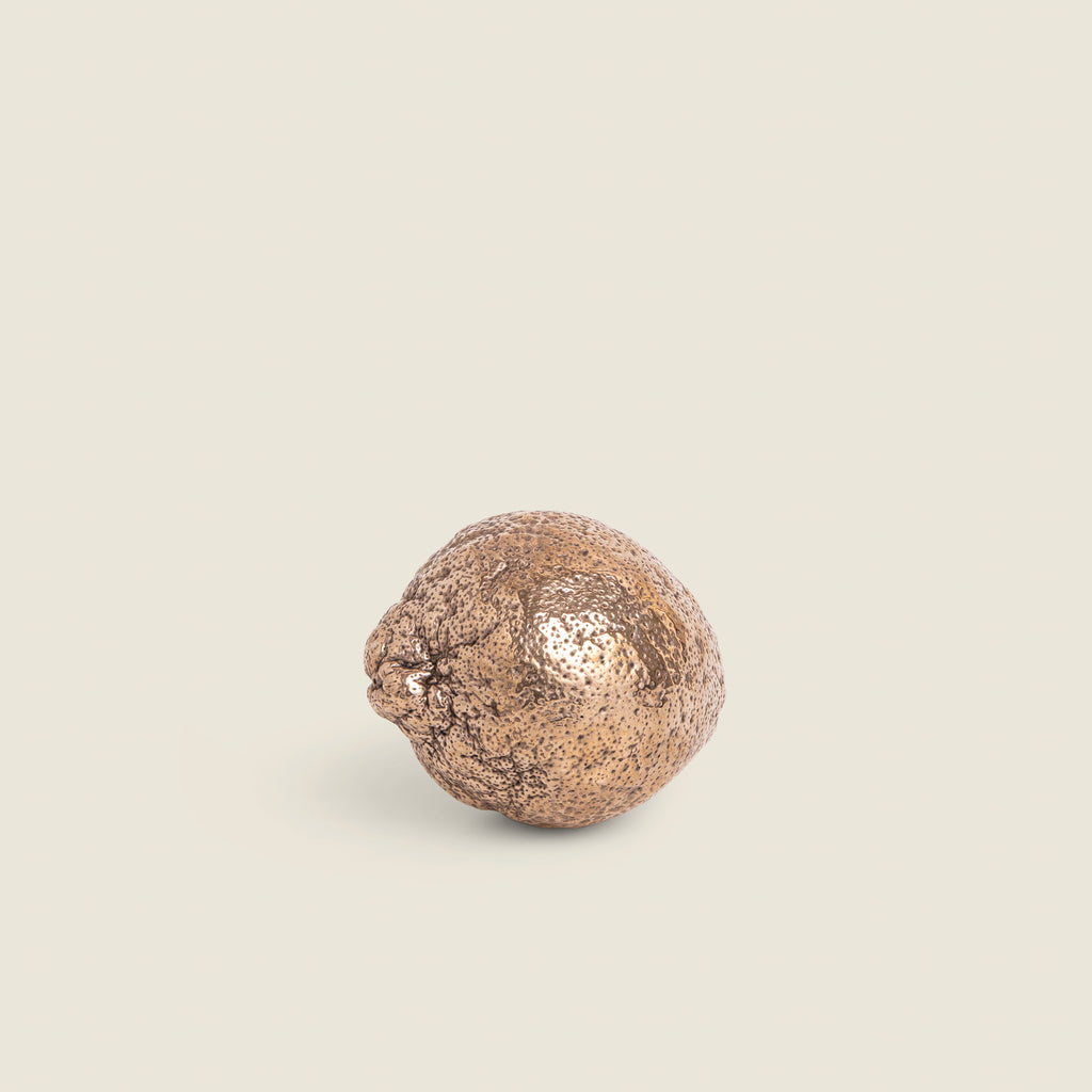 Whole Sicilian Lemon | Bronze Sculpture Handmade in the UK – G W Lunt